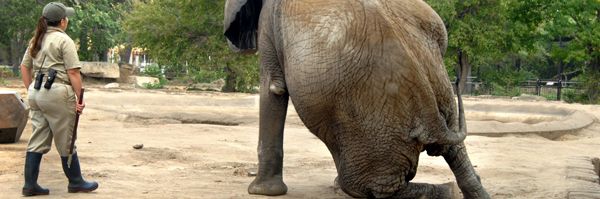 Zoologist Salary – How Much Does Zoologists Make?