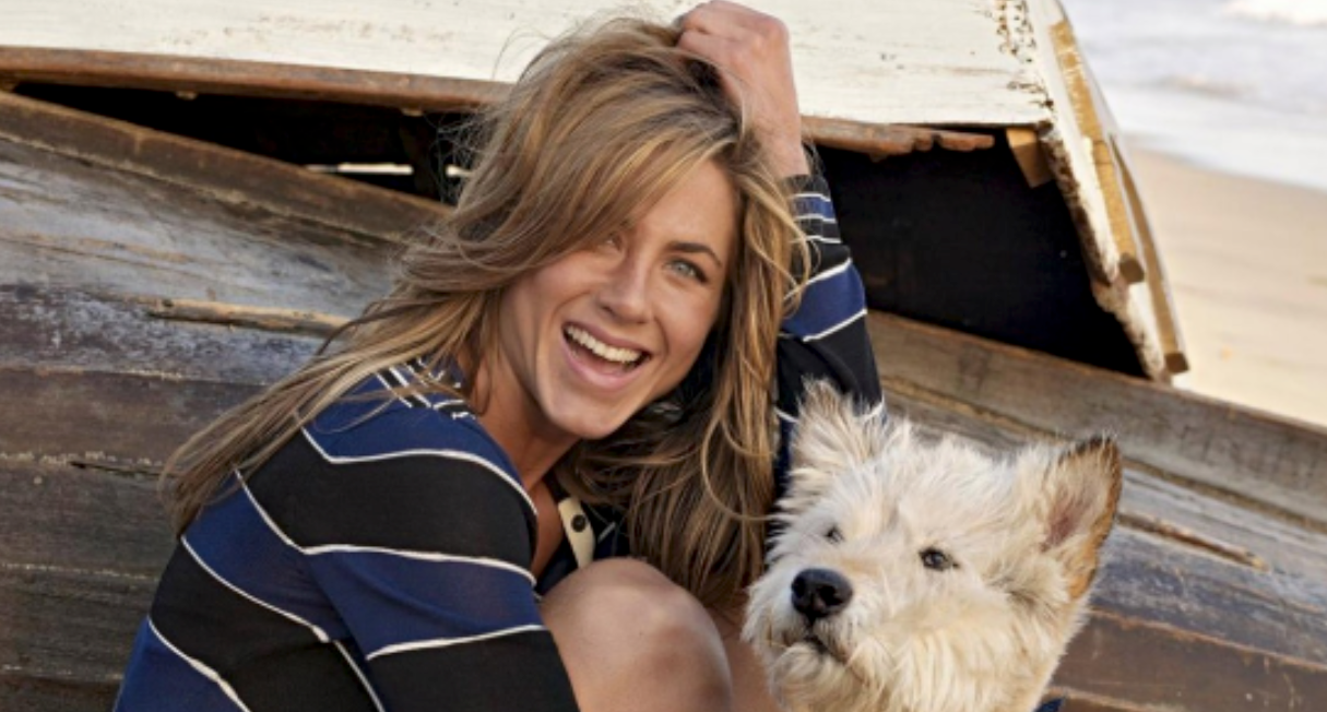 20 Hollywood Dogs With Actual Bank Accounts | TheRichest