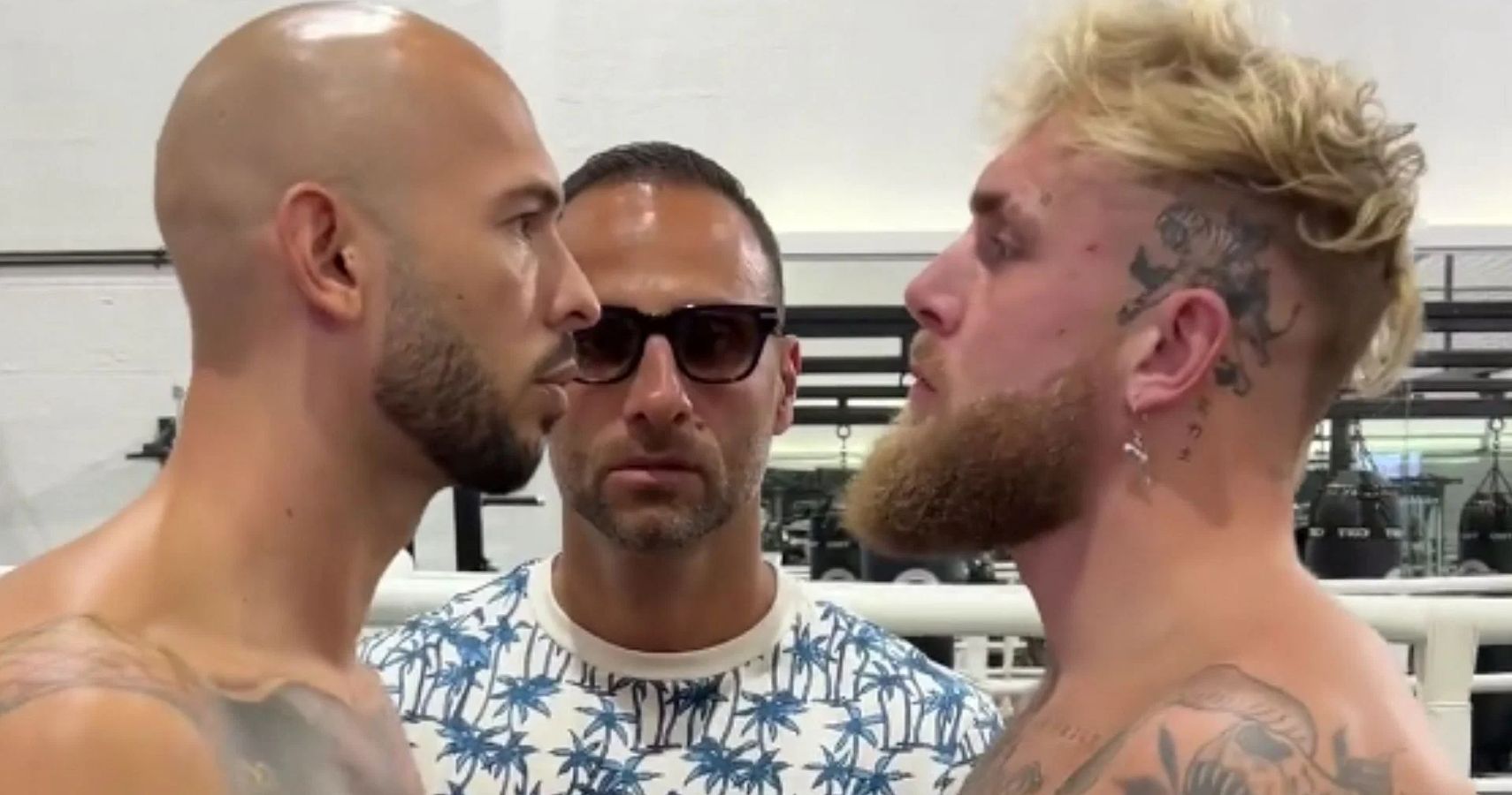 Jake Paul And Andrew Tate Face Off Ahead Of Allegedly Boxing Fight