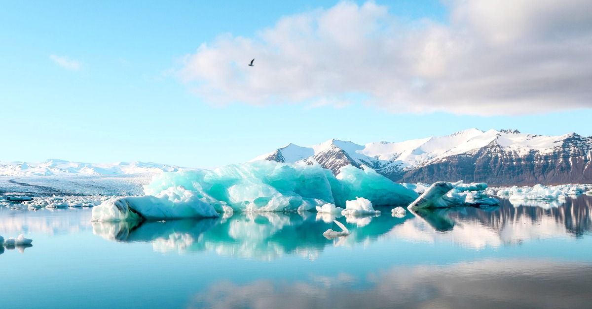 The Cast Of 'Life Below Zero', Ranked By Net Worth